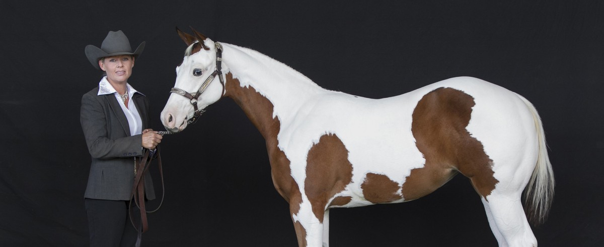 Sonza Paint Horses – Paint Horse Breeders